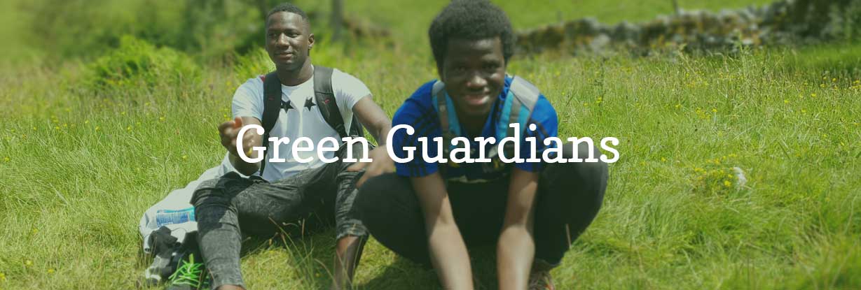 Green guardians | YDMT
